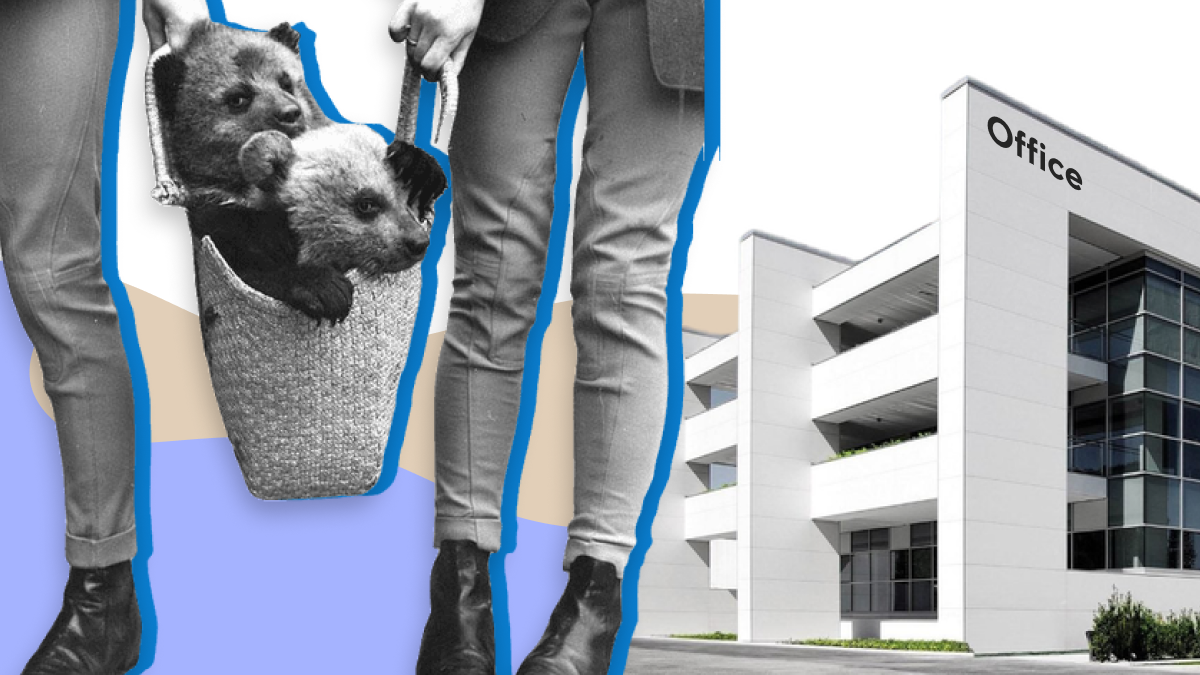 How to Select Staff Correctly | Projecto Blog